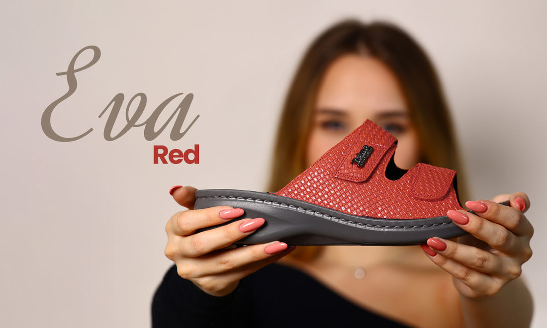 Eva red – Tidma Anatomic